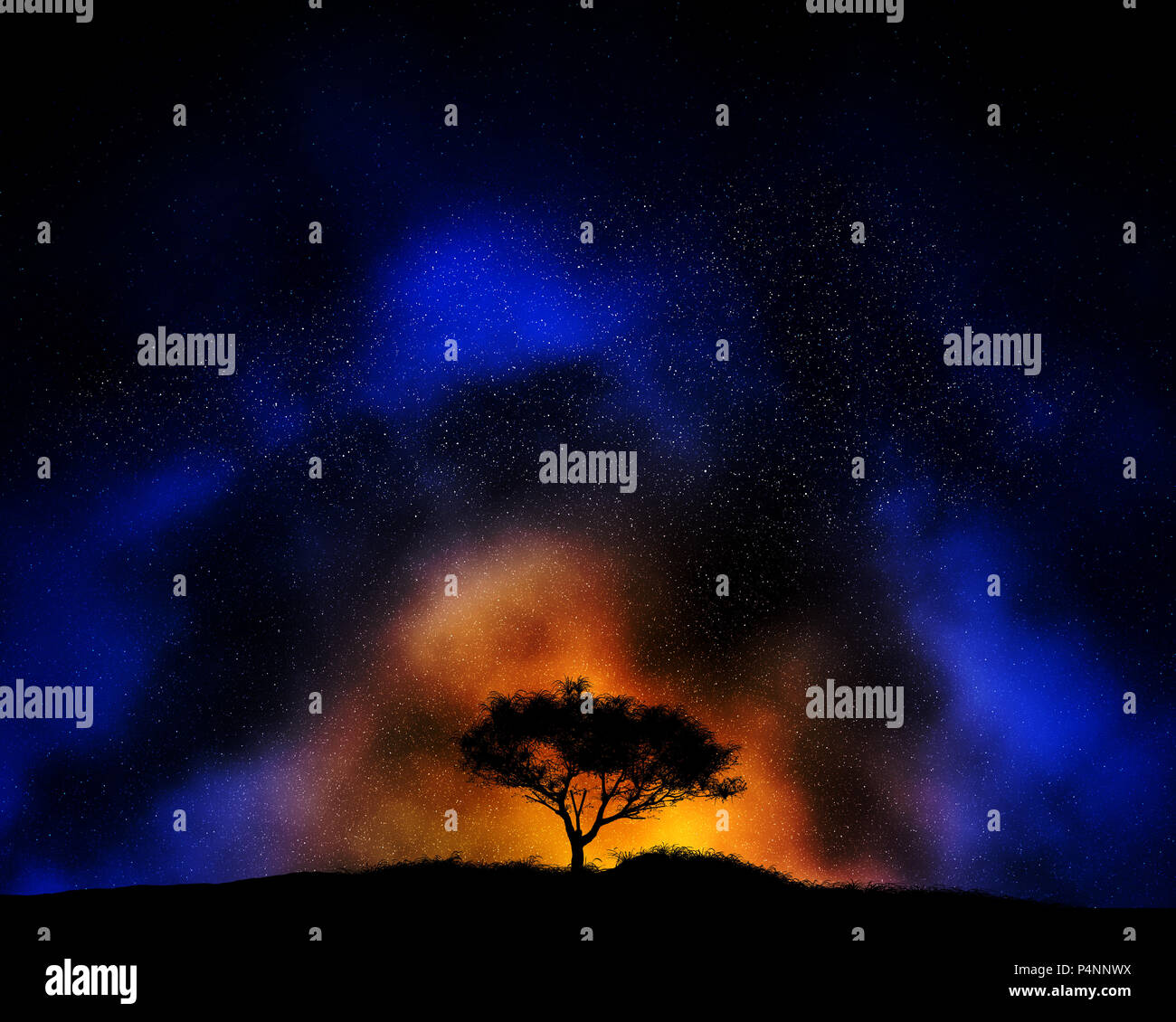 Colourful night sky background with silhouetted tree landscape Stock ...