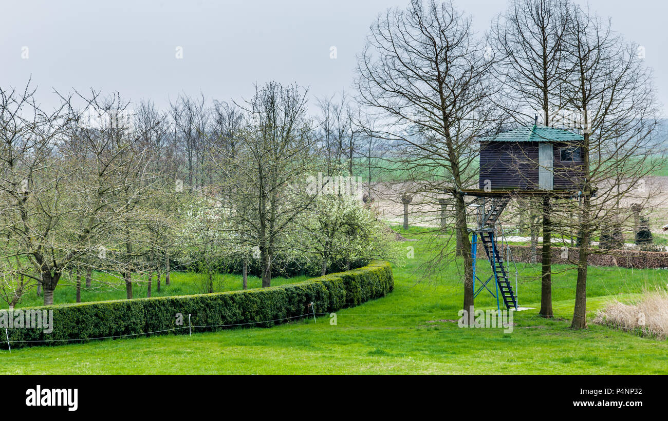 Wooden treehouse with a view Stock Photo - Alamy
