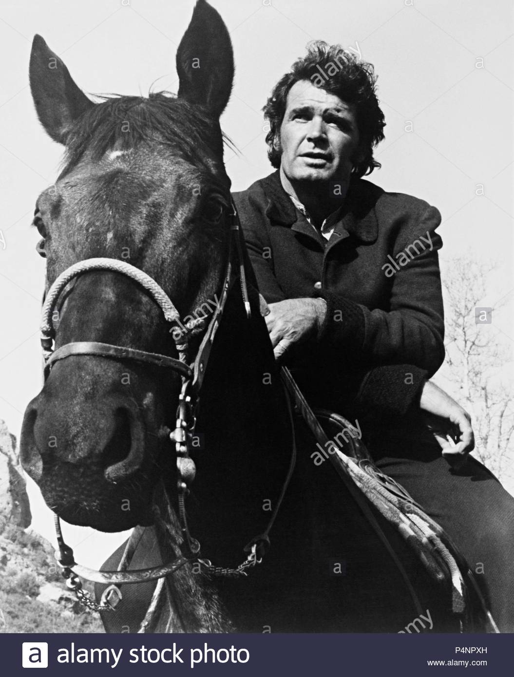 Paul Garner Stock Photos & Paul Garner Stock Images - Alamy