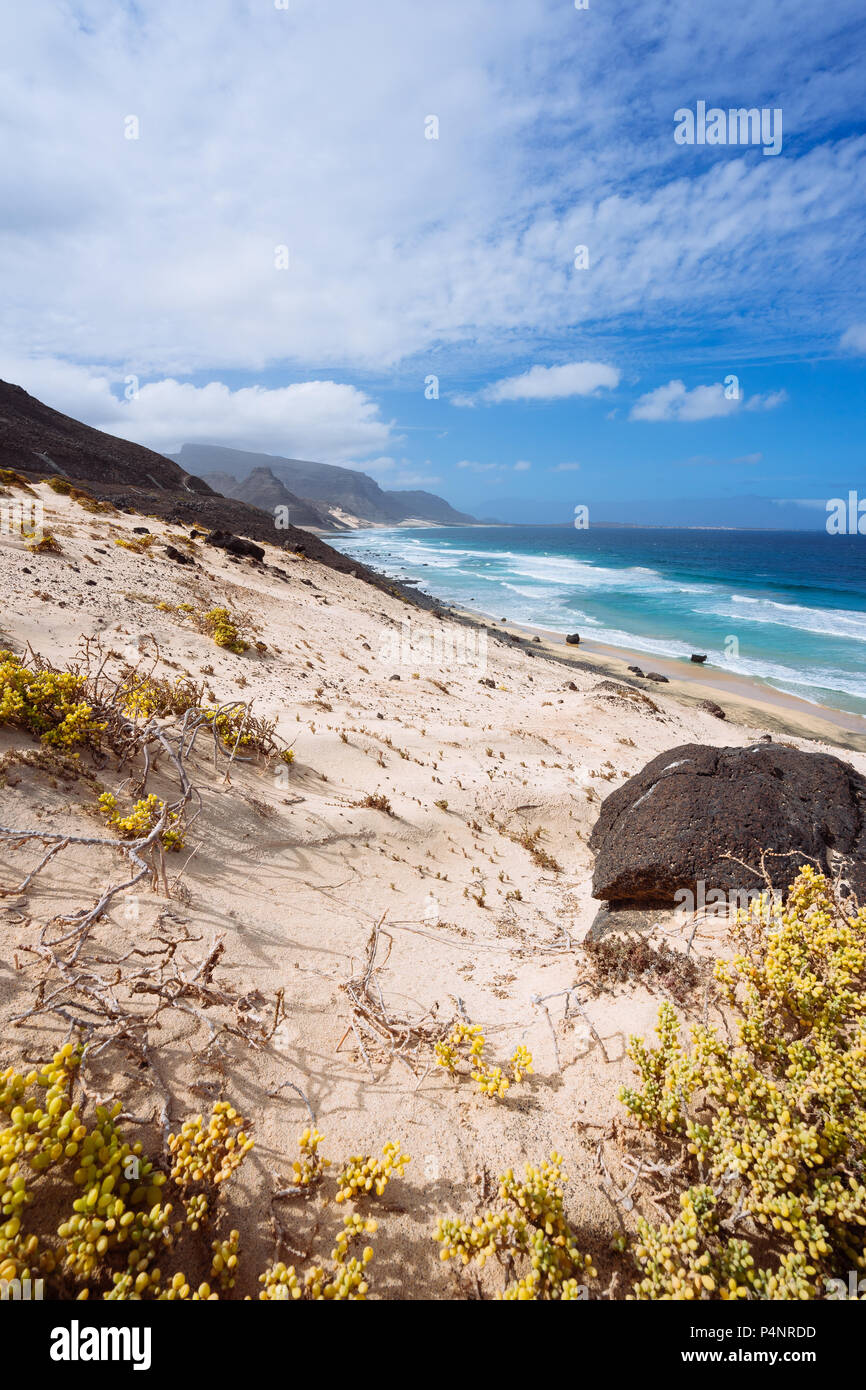 Stunning desolate landscape of sand dunes and desert plants of atlantic ...