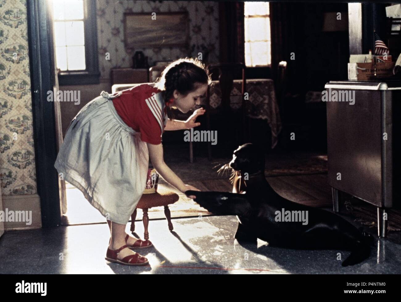Original Film Title: ANDRE. English Title: ANDRE. Film Director: GEORGE ...