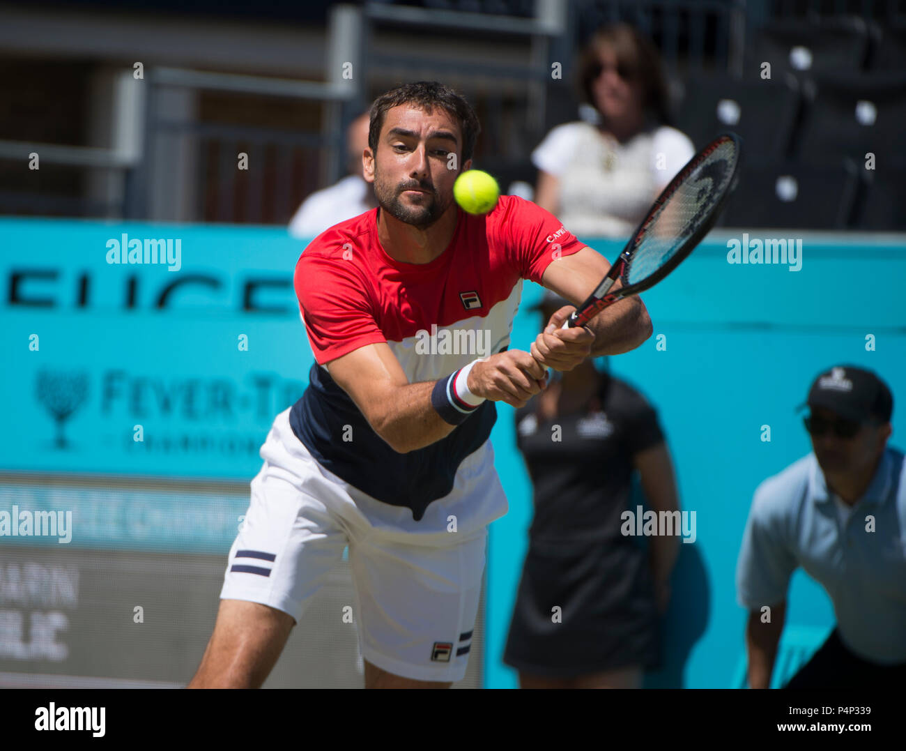 Marin maric hi-res stock photography and images - Alamy