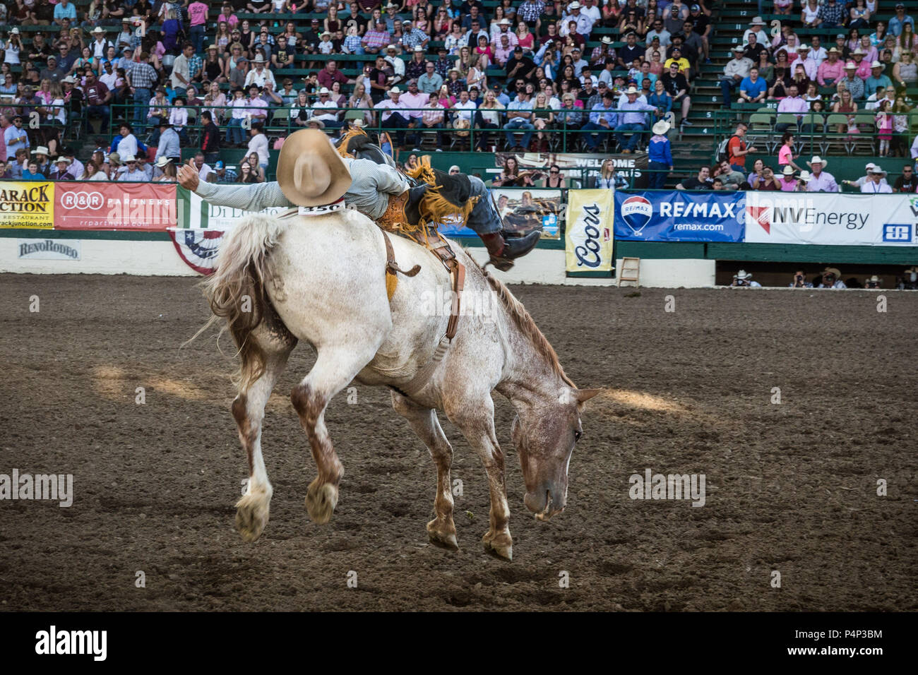 Professional rodeo cowboys association hi-res stock photography and ...