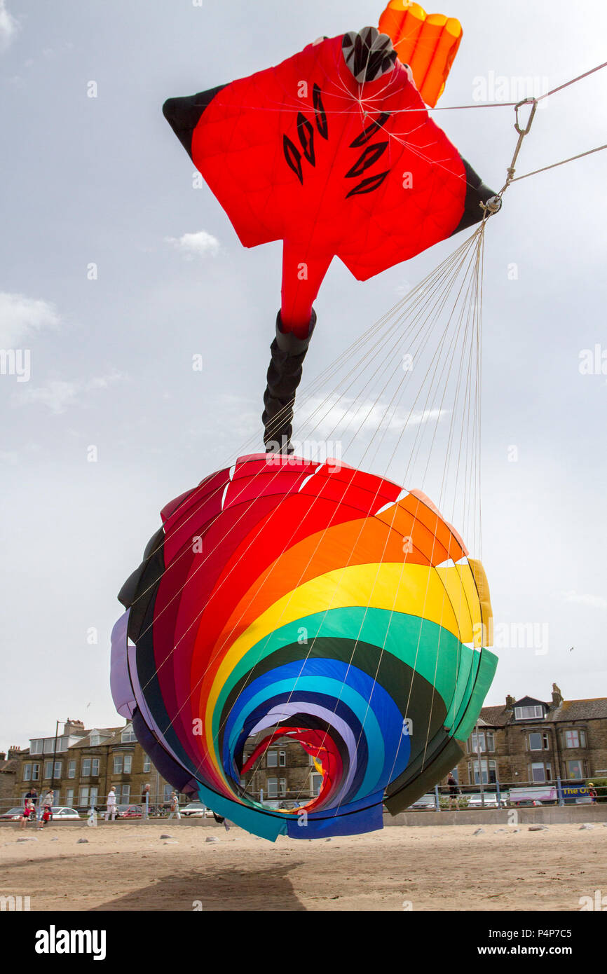 Professional kite flyers hi-res stock photography and images - Alamy