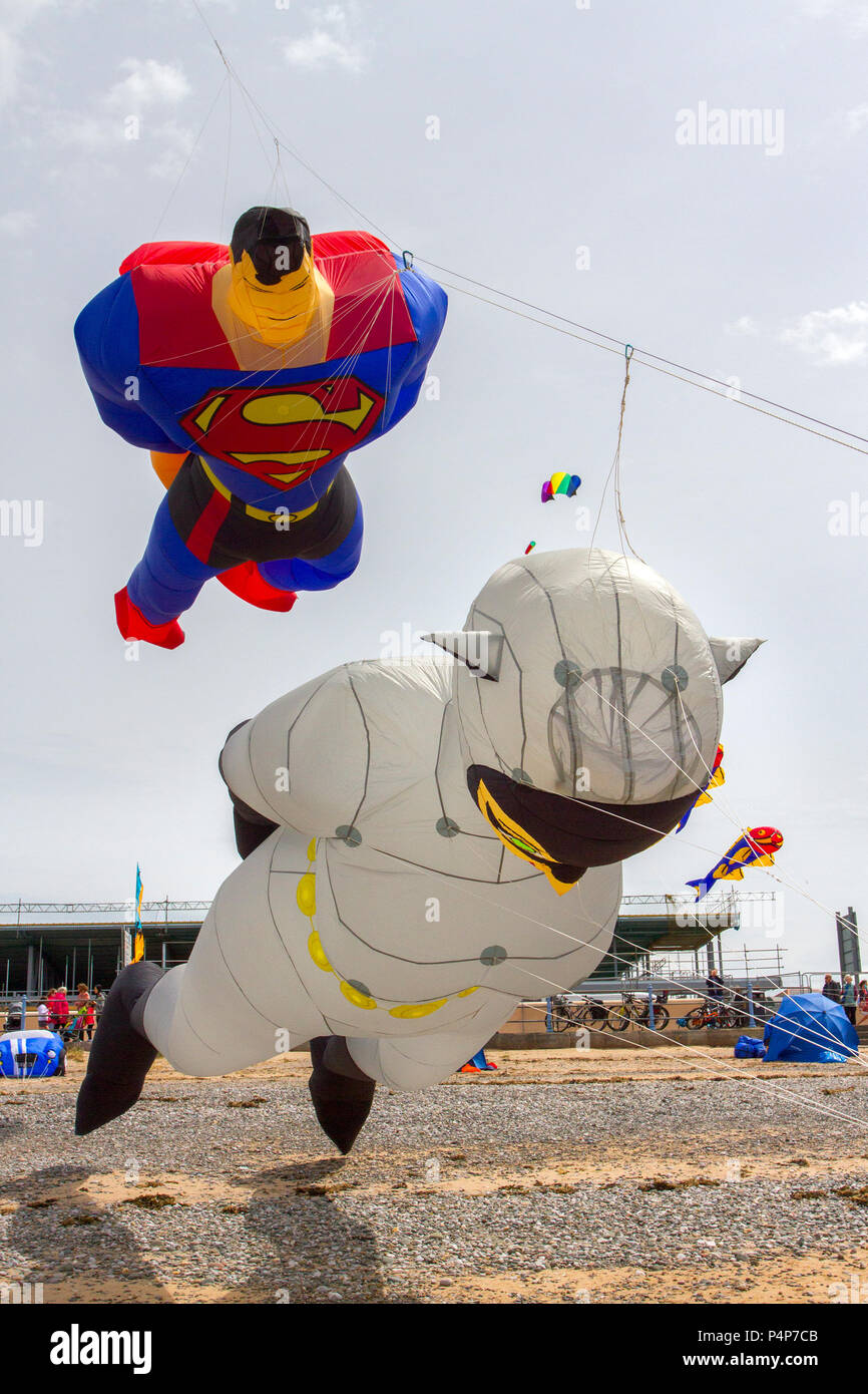 Professional kite flyers hi-res stock photography and images - Alamy