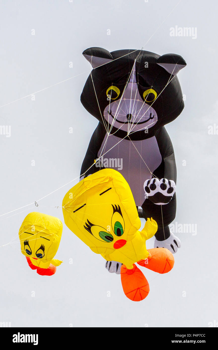 Professional kite flyers hi-res stock photography and images - Alamy