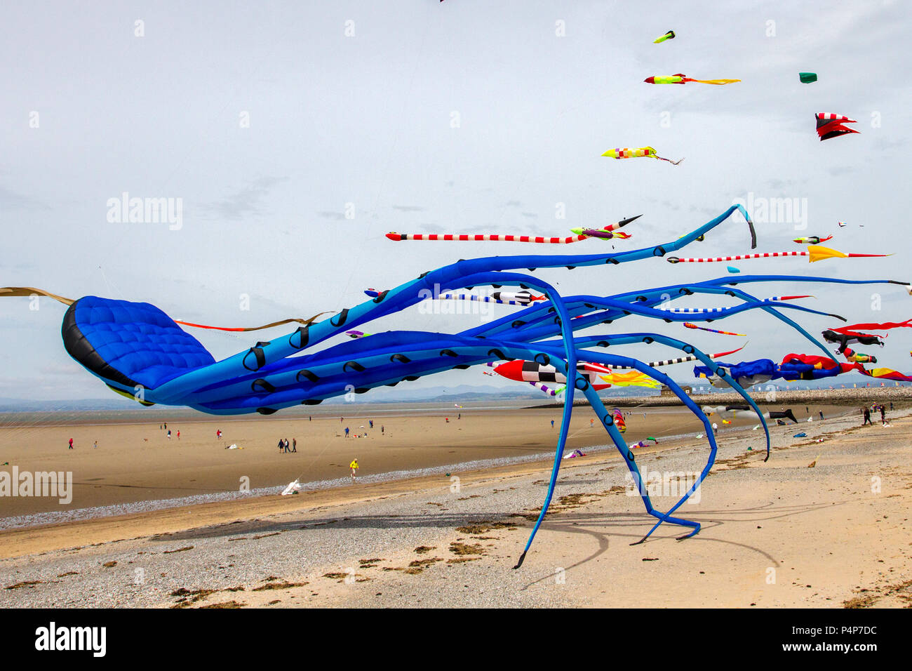 Professional kite flyers hi-res stock photography and images - Alamy
