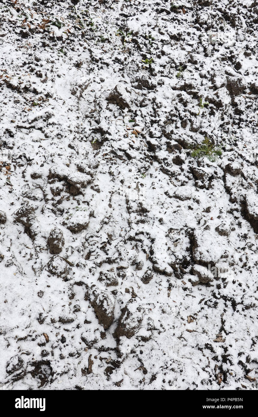 Frozen soil layer hi-res stock photography and images - Alamy
