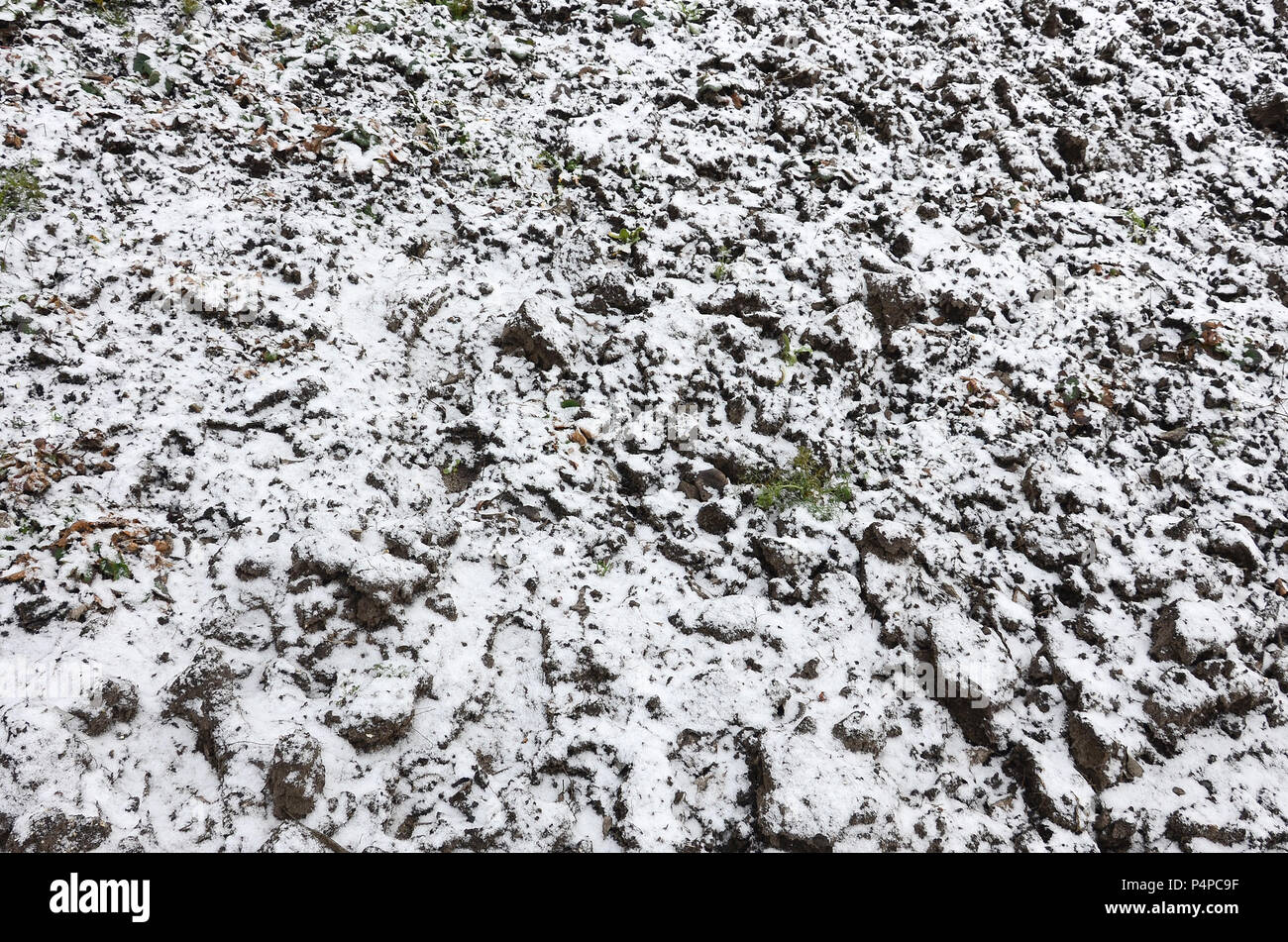 The texture of the ground, covered with a thin layer of snow. The soil ...