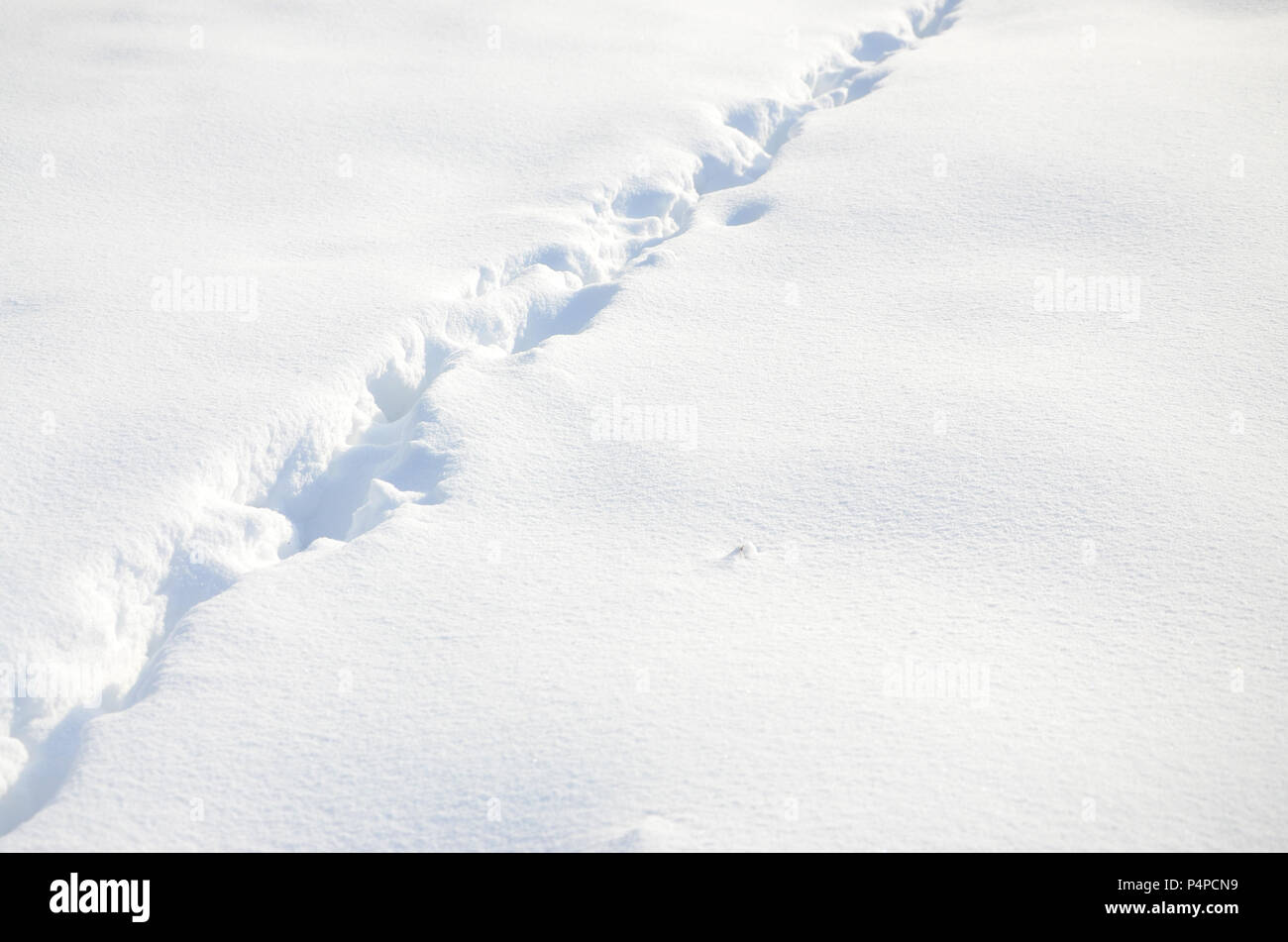 Tracks leave hi-res stock photography and images - Alamy