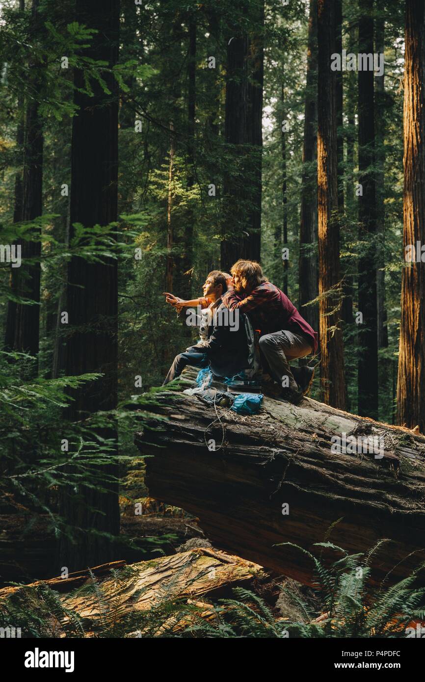 Original Film Title: SWISS ARMY MAN. English Title: SWISS ARMY MAN ...