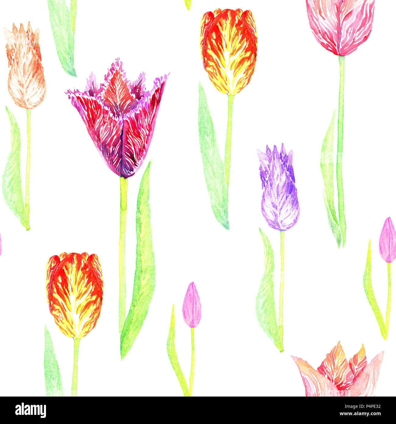 Tulip variety with leaves, seamless pattern design hand painted ...