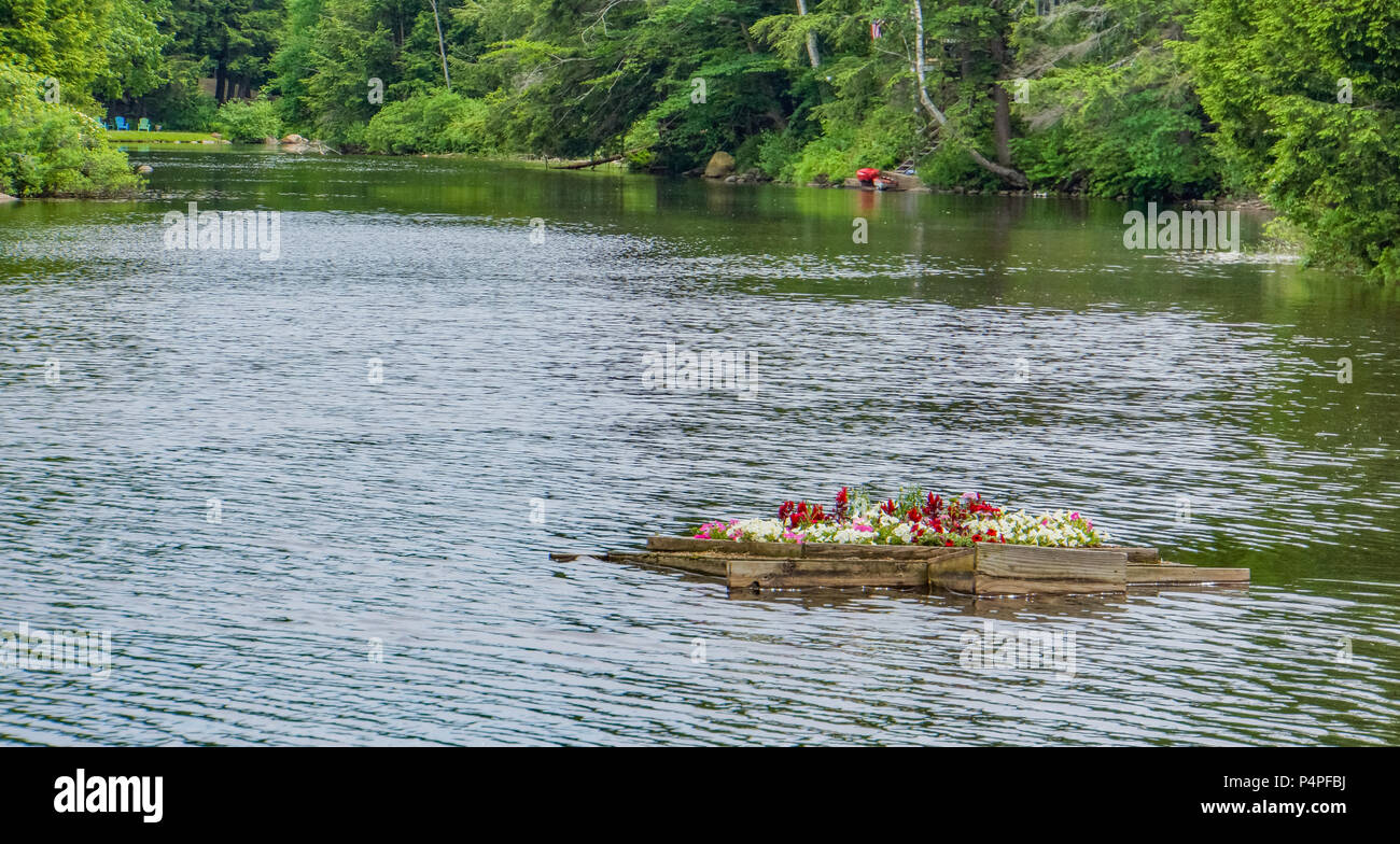 shoreline of lake in summer with a floating flower box with flowers ...