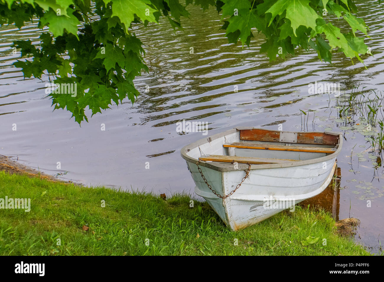 Tree with boat hi-res stock photography and images - Alamy