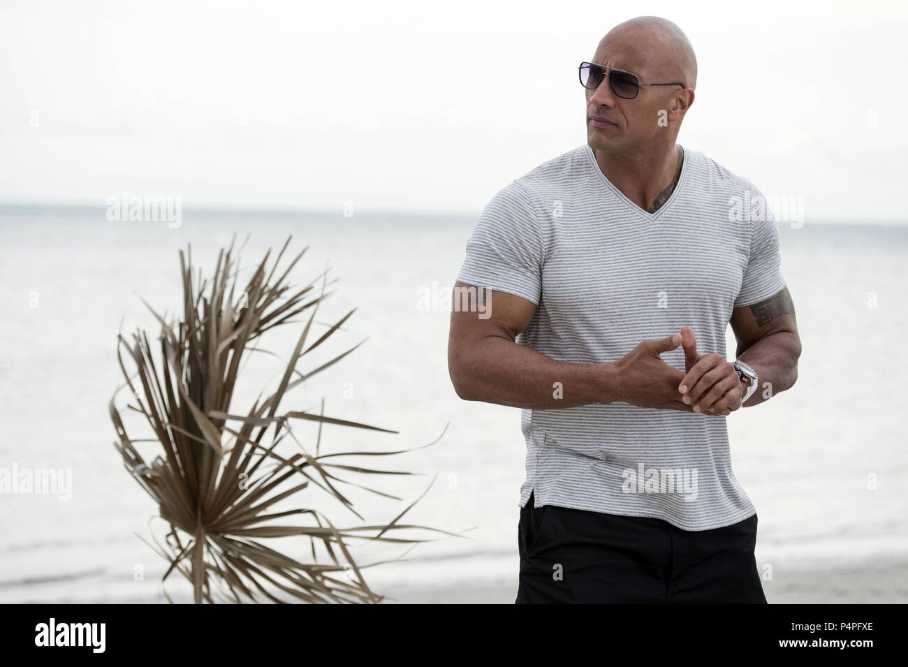 Dwayne johnson the rock series hi-res stock photography and images - Alamy