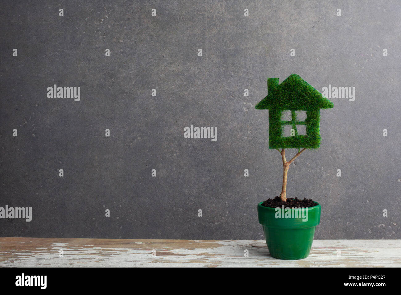 Green plant in pot shaped like house Stock Photo - Alamy
