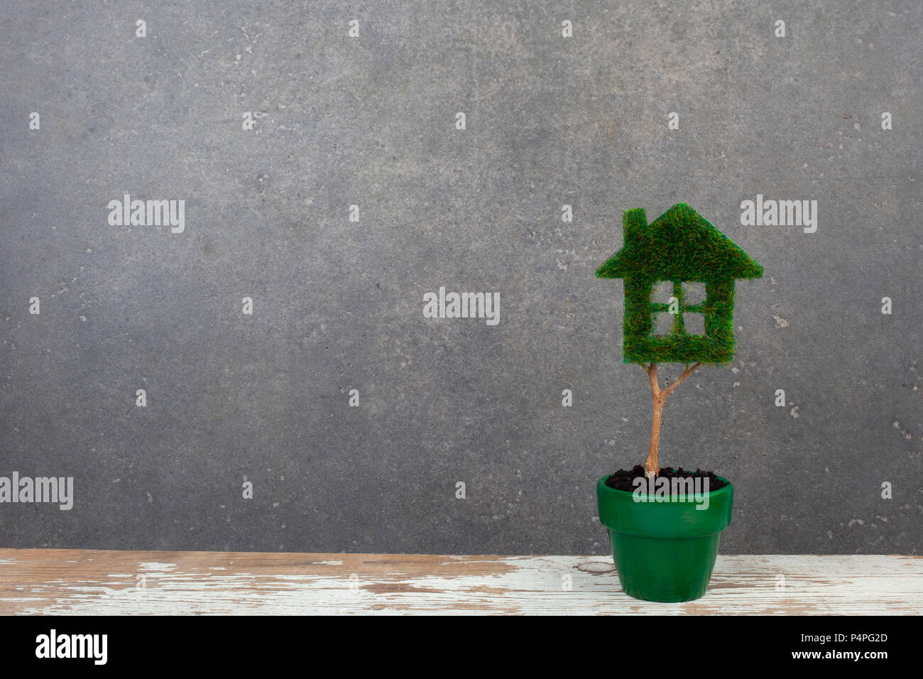 Green plant in pot shaped like house Stock Photo - Alamy