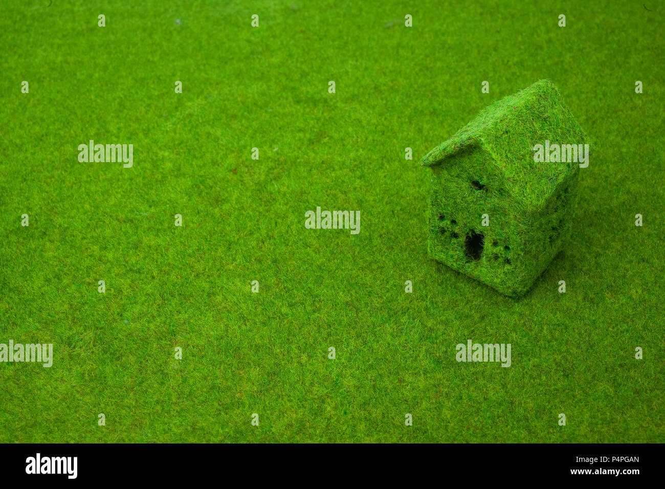 Grassland ecosystem hi-res stock photography and images - Alamy