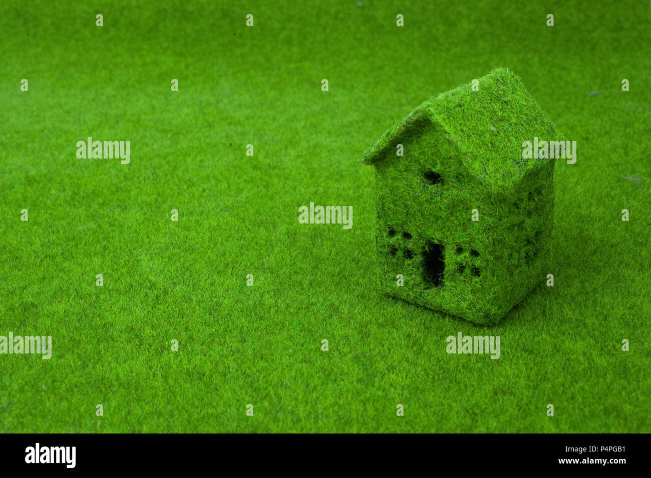 Grassland ecosystem hi-res stock photography and images - Alamy