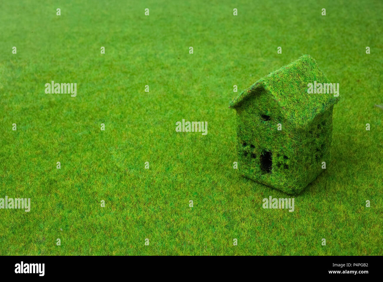 Grassland ecosystem hi-res stock photography and images - Alamy