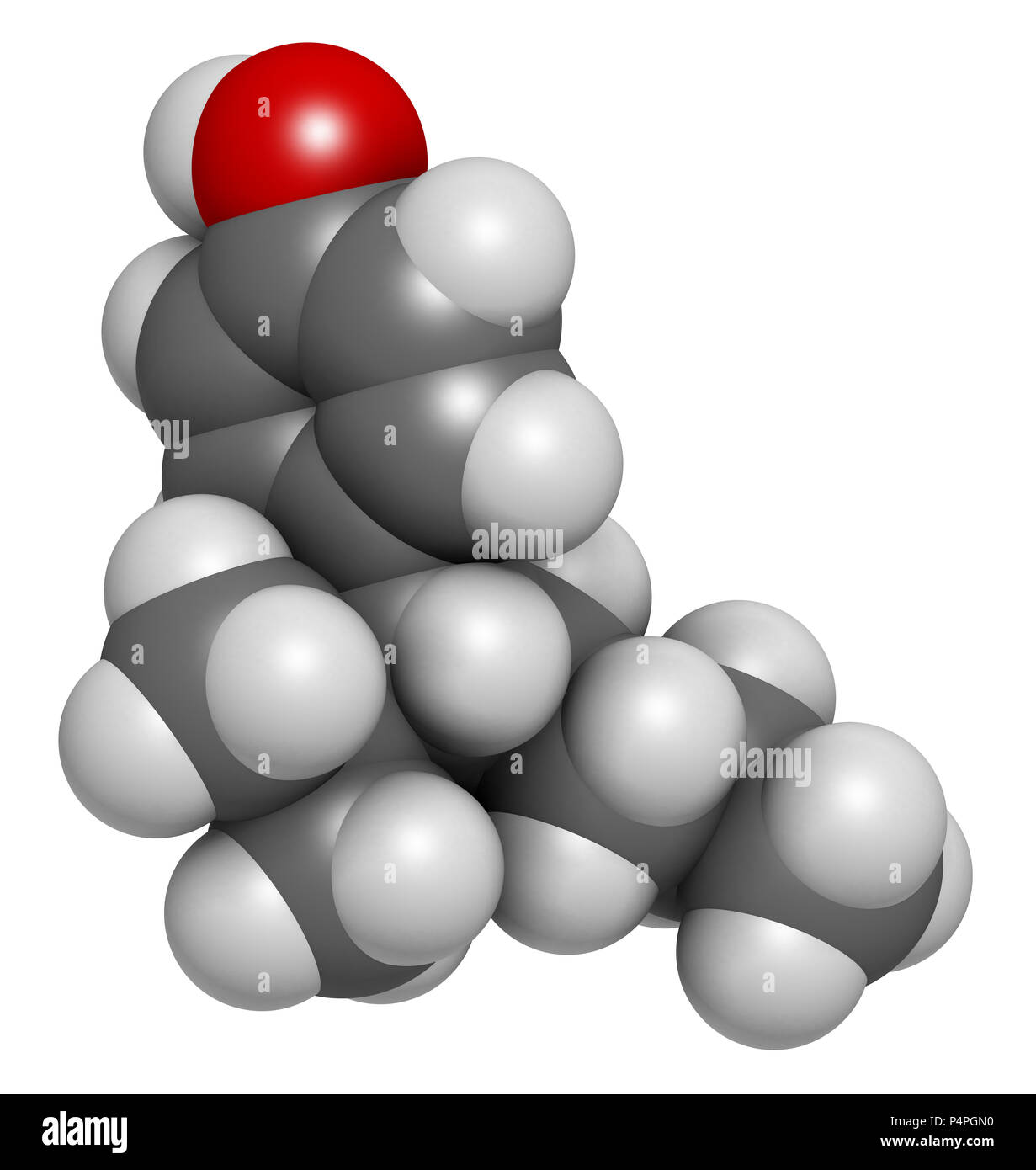 Nonylphenol endocrine disruptor molecule (one isomer shown). 3D ...