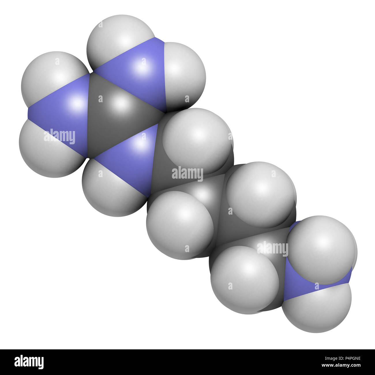 Agmatine molecule. 3D rendering. Atoms are represented as spheres with ...