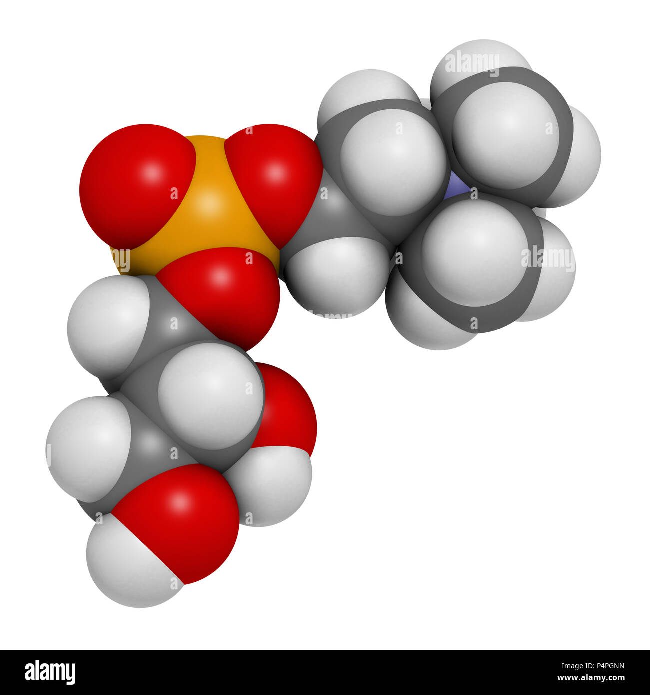 Alpha-GPC (L-Alpha glycerylphosphorylcholine, choline alfoscerate ...