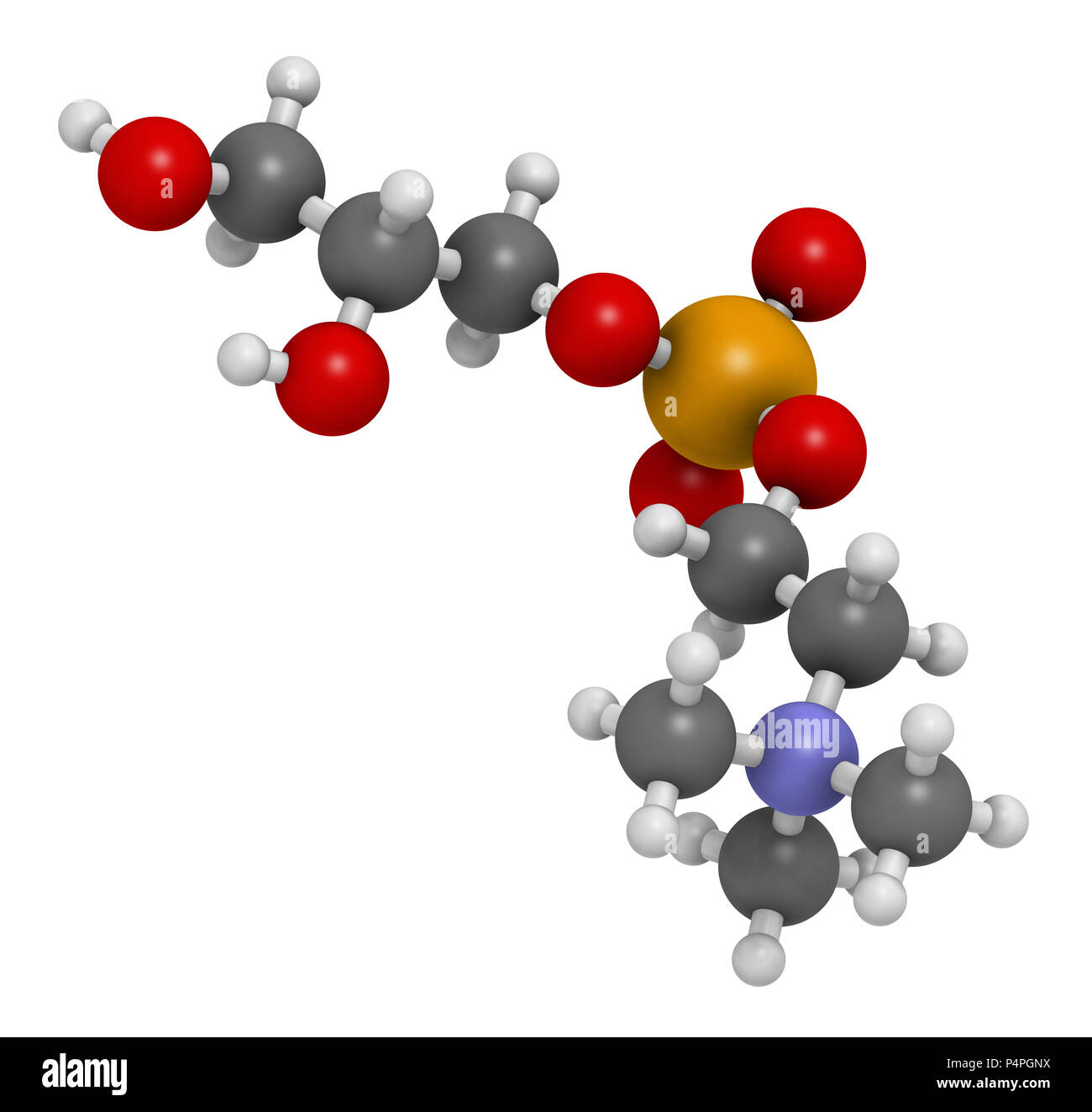 Molécule alpha gpc hi-res stock photography and images - Alamy