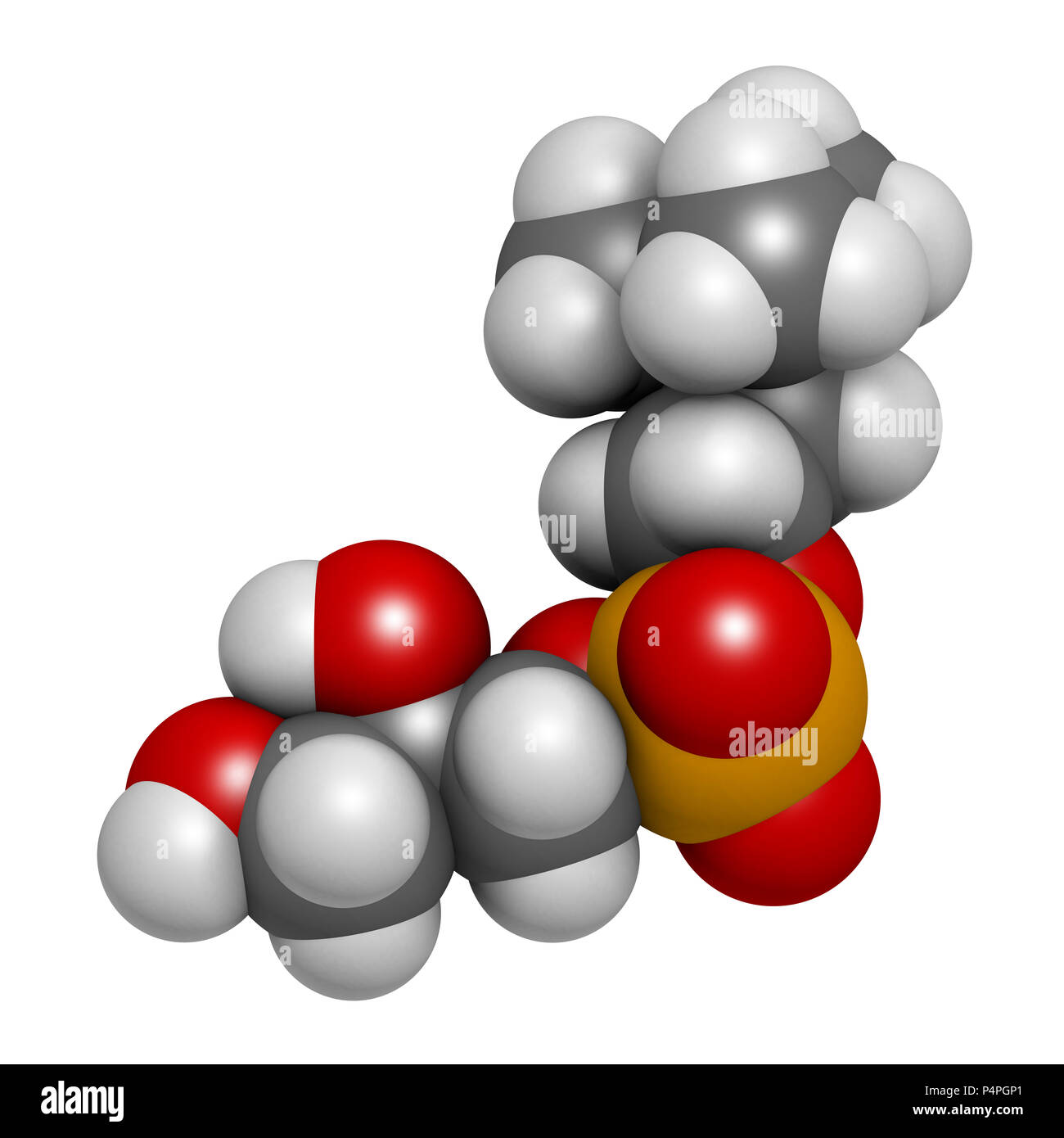 Molécule alpha gpc hi-res stock photography and images - Alamy