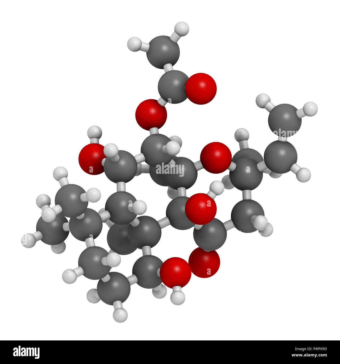 Forskolin molecule hi-res stock photography and images - Alamy