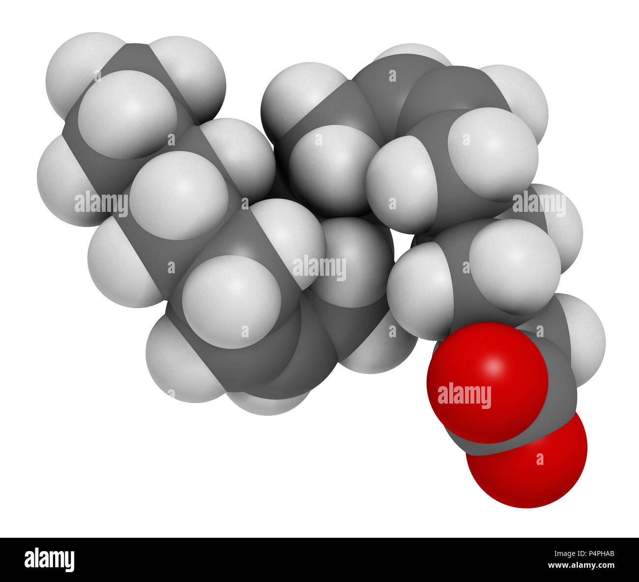 Gamma-linolenic acid (GLA, gamolenic acid) molecule. Omega-6 fatty acid ...