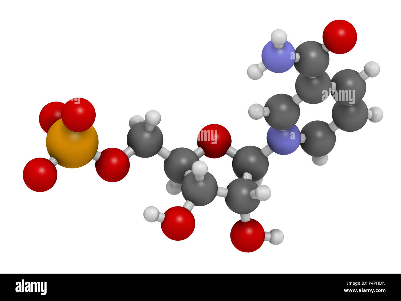 Nicotinamide mononucleotide molecule. Precursor of NAD+. 3D rendering ...