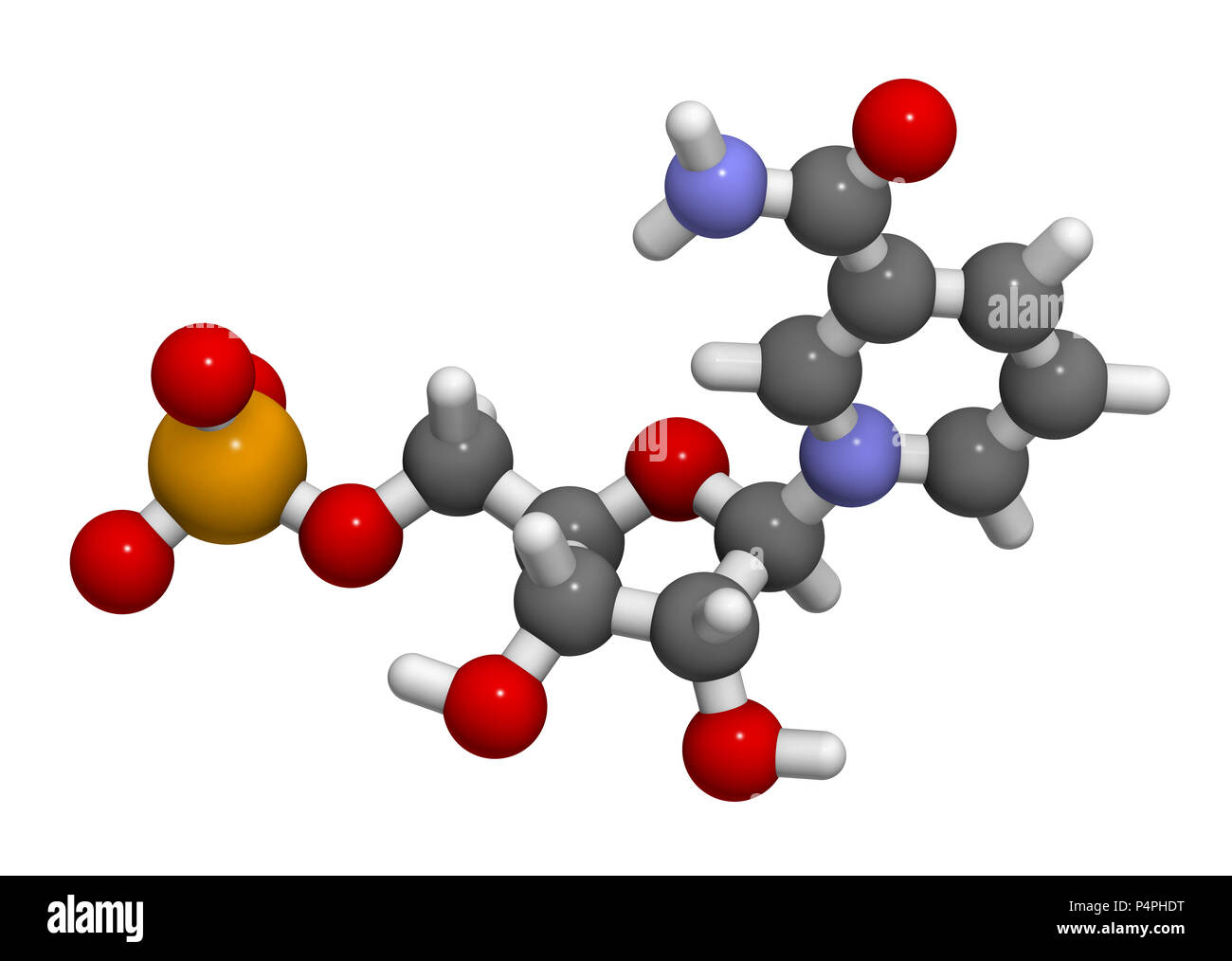 Nicotinamide Mononucleotide