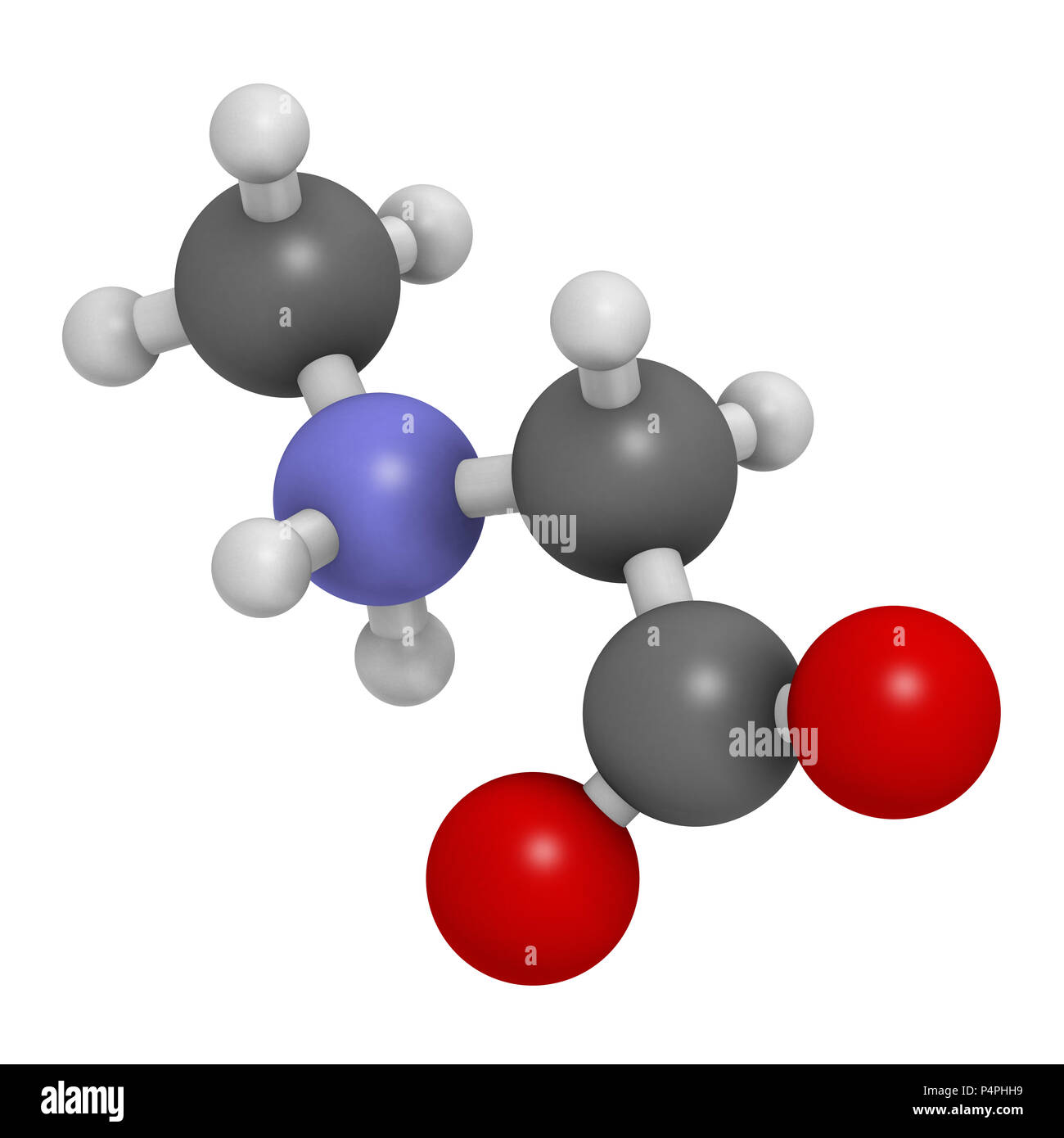 Sarcosinemia hi-res stock photography and images - Alamy
