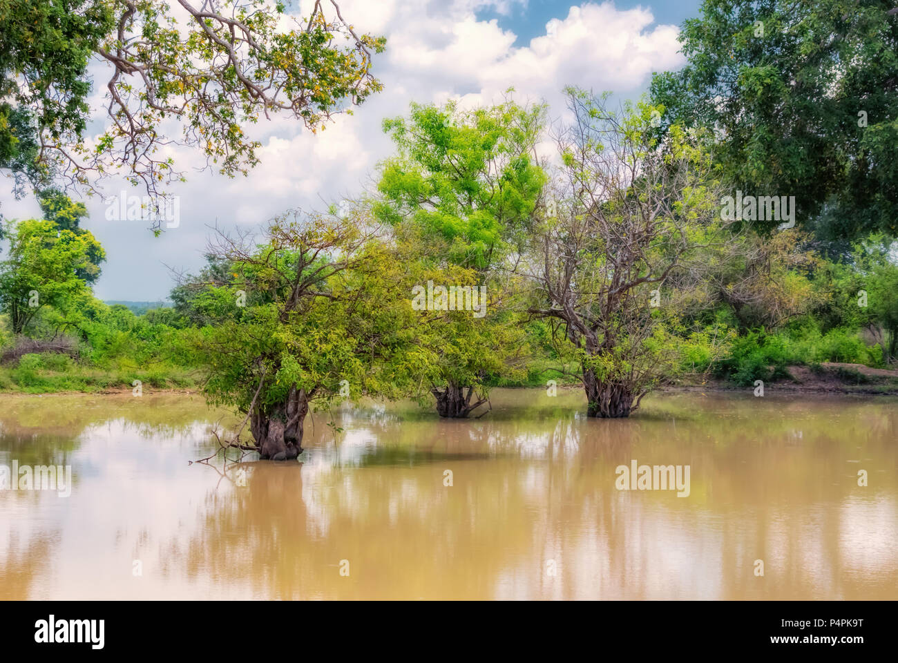 Uda walawe reservoir hi-res stock photography and images - Alamy