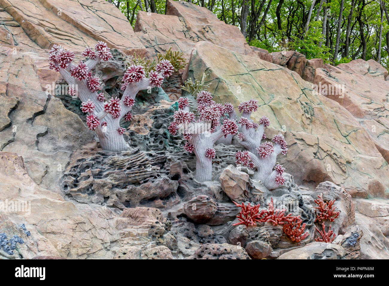 Prehistoric marine invertebrates hi-res stock photography and images ...