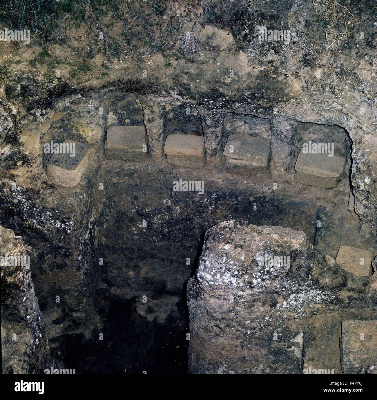 Niches with funerary urns. Roman Necropolis, Carmona. Seville. Location ...