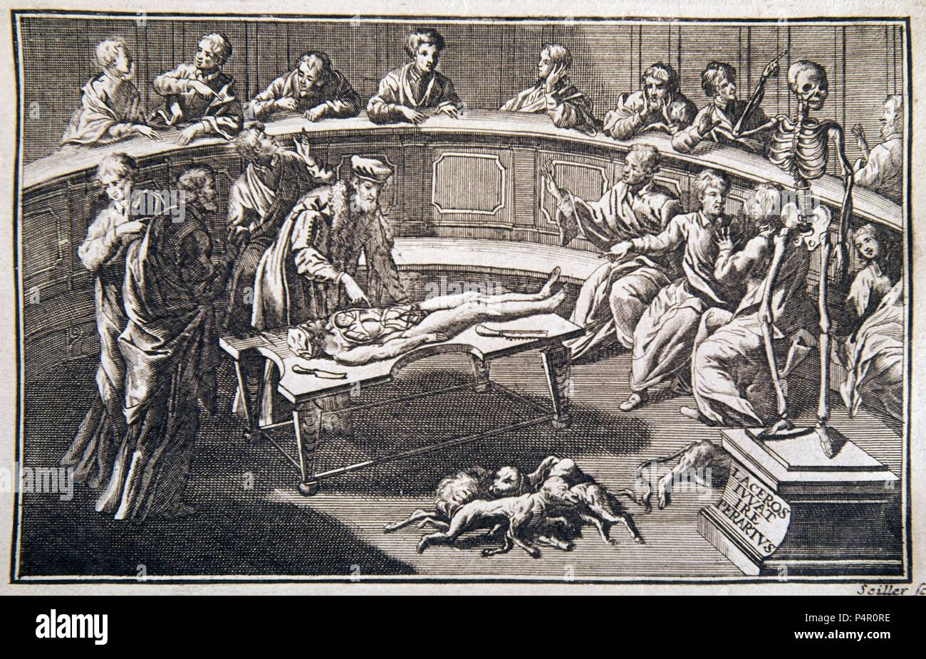 Autopsia hi-res stock photography and images - Alamy