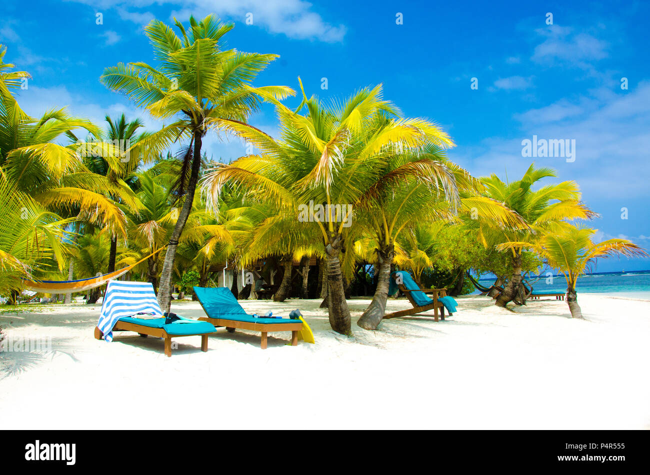 South Water Caye in Belize - small caribbean paradise island with ...