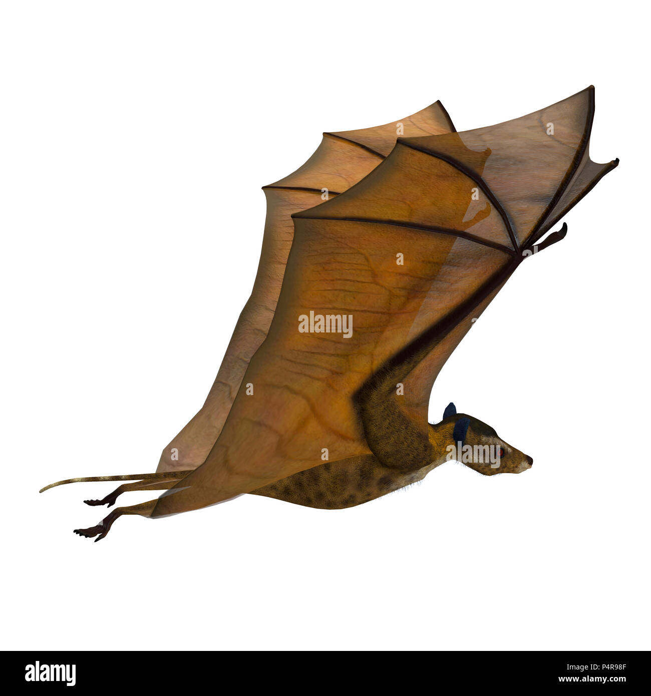 Resembled modern bats hi-res stock photography and images - Alamy