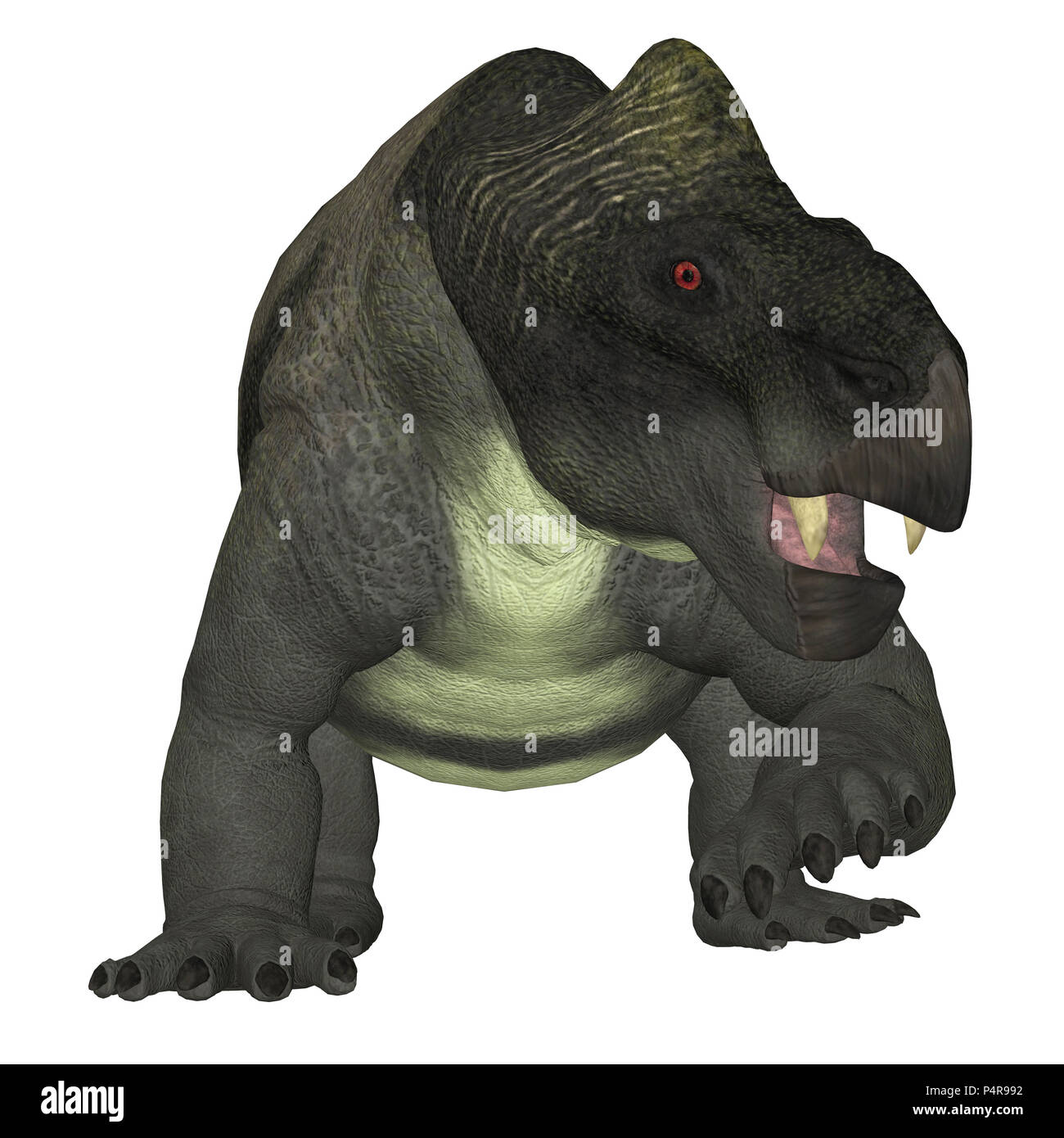 Kannemeyeria was a herbivorous dicynodont dinosaur the lived in South ...