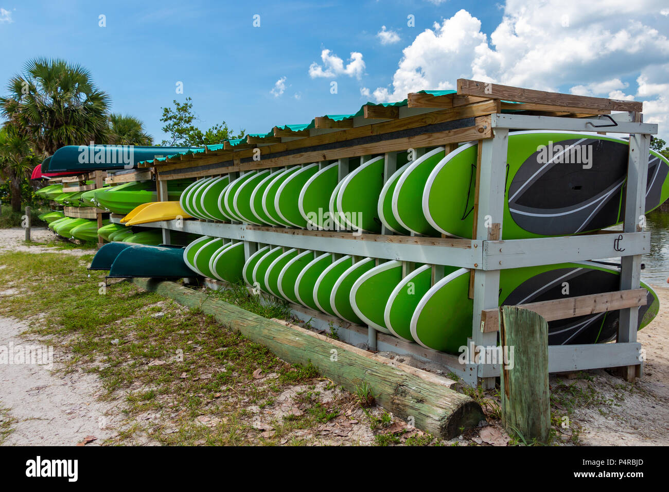 Hollywood beach florida palm tree hi-res stock photography and images ...