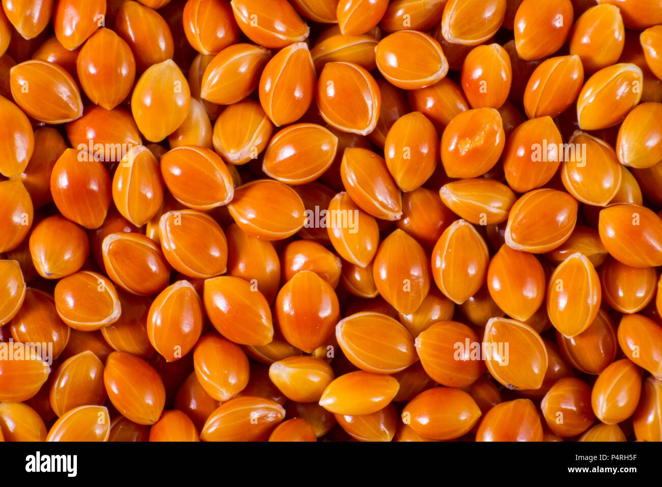 red millet grains seen up close, super food Stock Photo - Alamy