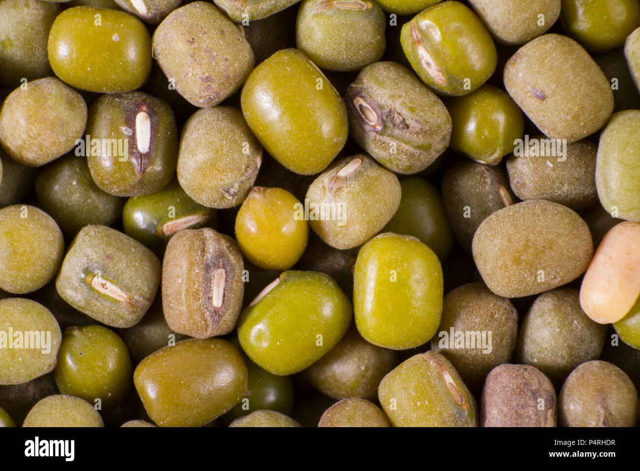 Mung bean closely, Vigna radiata Stock Photo - Alamy