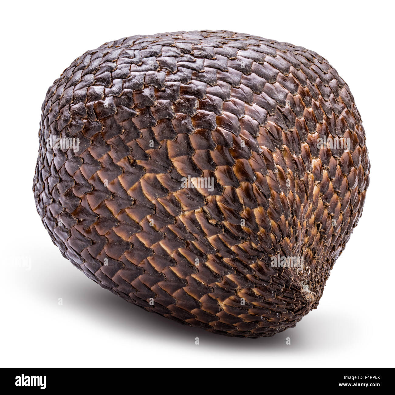 Snake fruit salak palm hi-res stock photography and images - Alamy