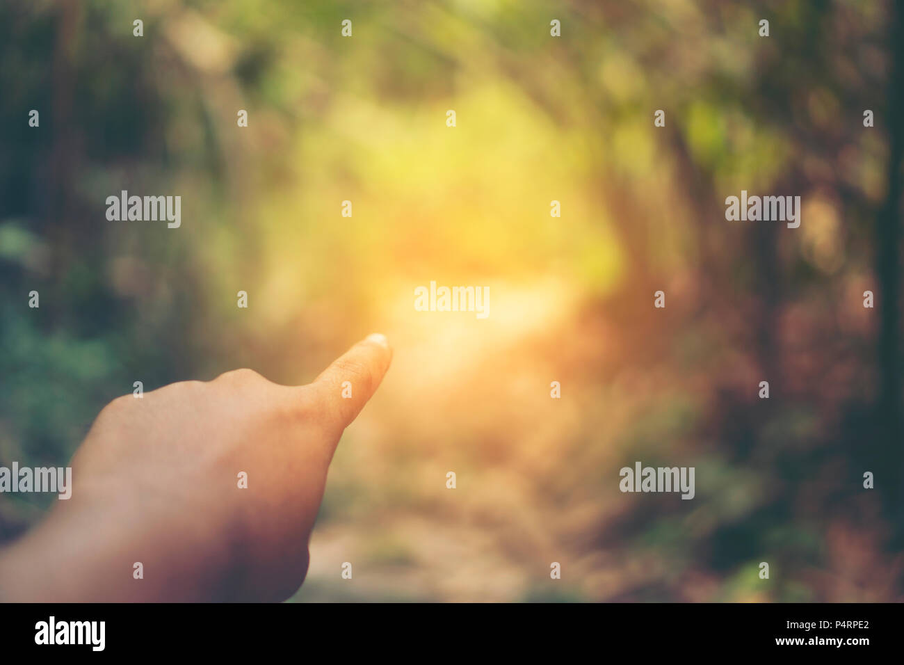 nature connecting concept Stock Photo - Alamy