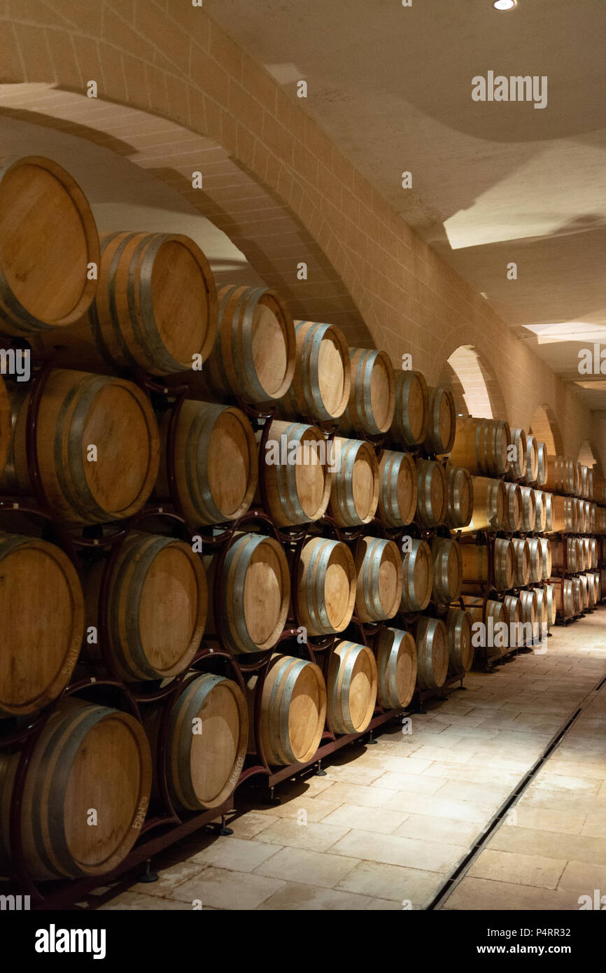 Modern bio wine production factory in Italy, inox steel tanks used for ...