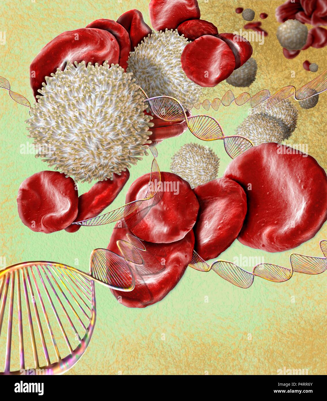 Blood disorders,conceptual composite image. Scanning electron ...