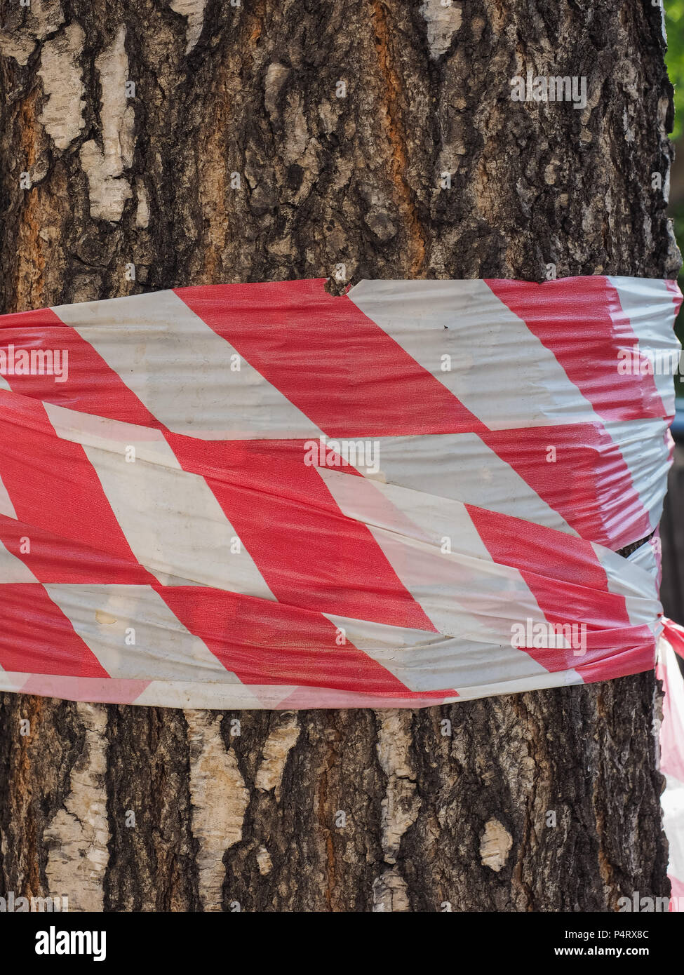 tree trunk with barricade tape signalling danger Stock Photo - Alamy