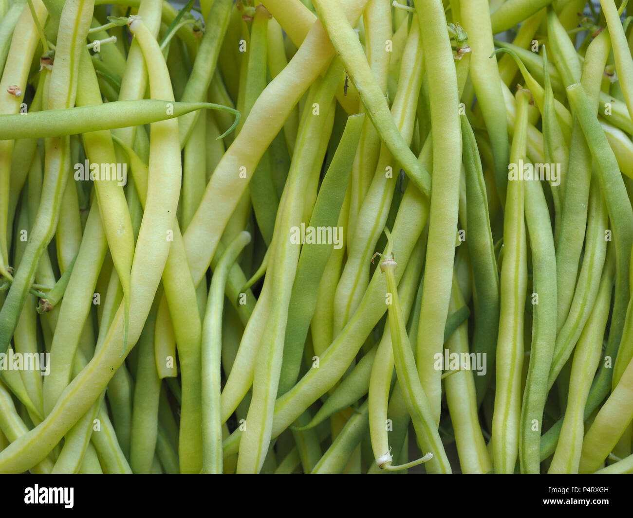 green string snap beans legumes vegetables vegetarian food Stock Photo ...